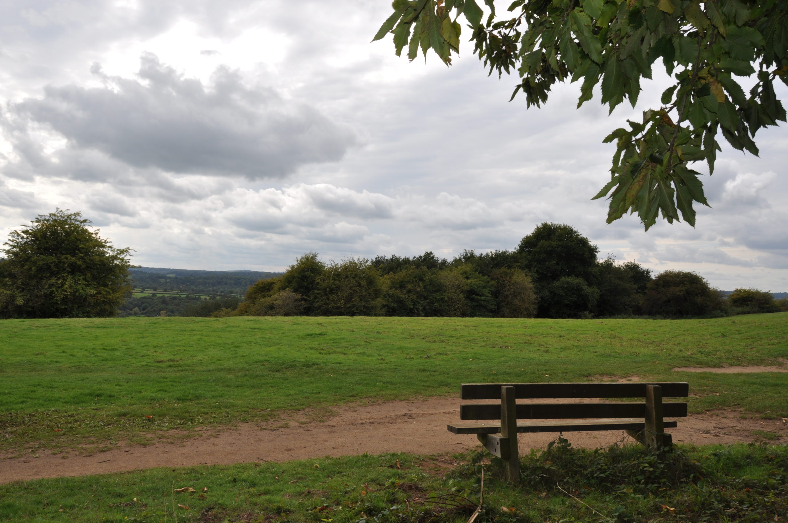 Chantry Wood - Thames Basin Heaths