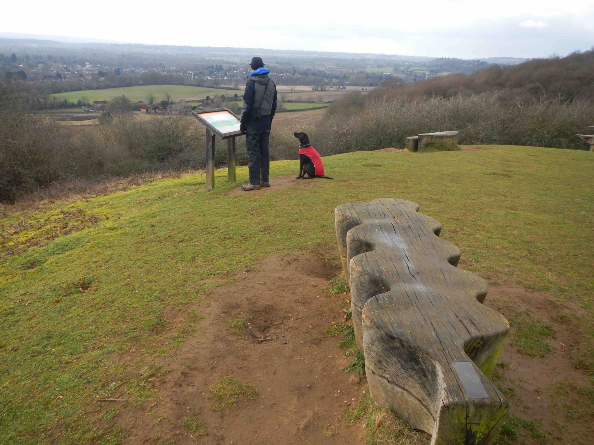 Chantry Wood - Thames Basin Heaths