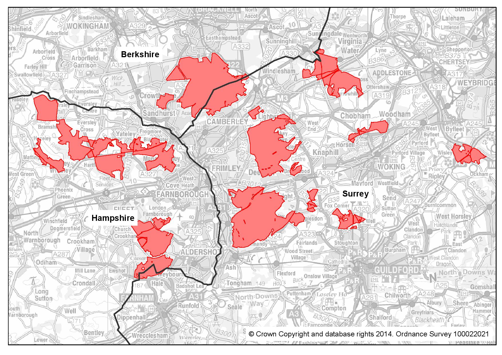 Gallery - Thames Basin Heaths