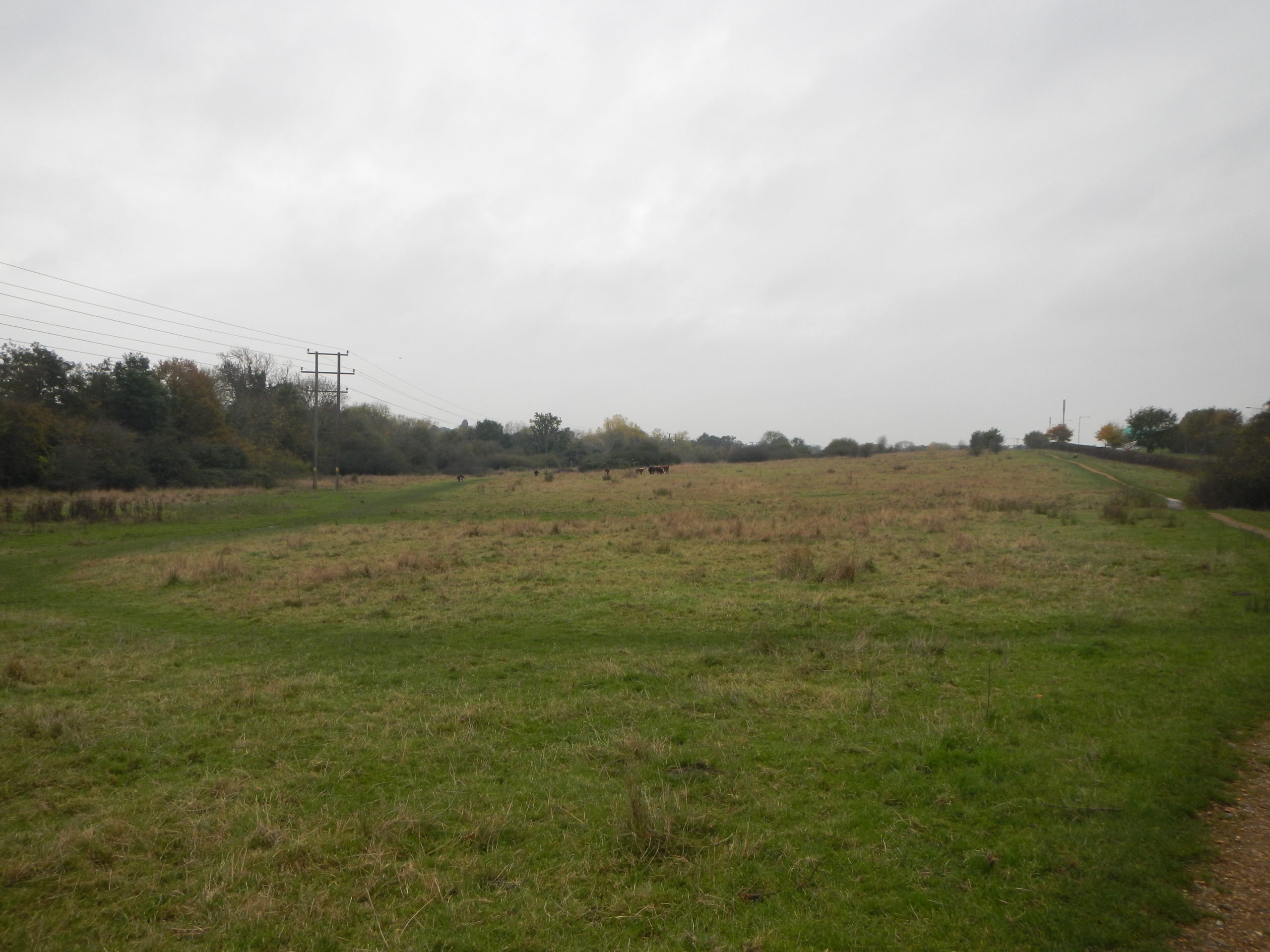 Cut Countryside Corridor - Thames Basin Heaths