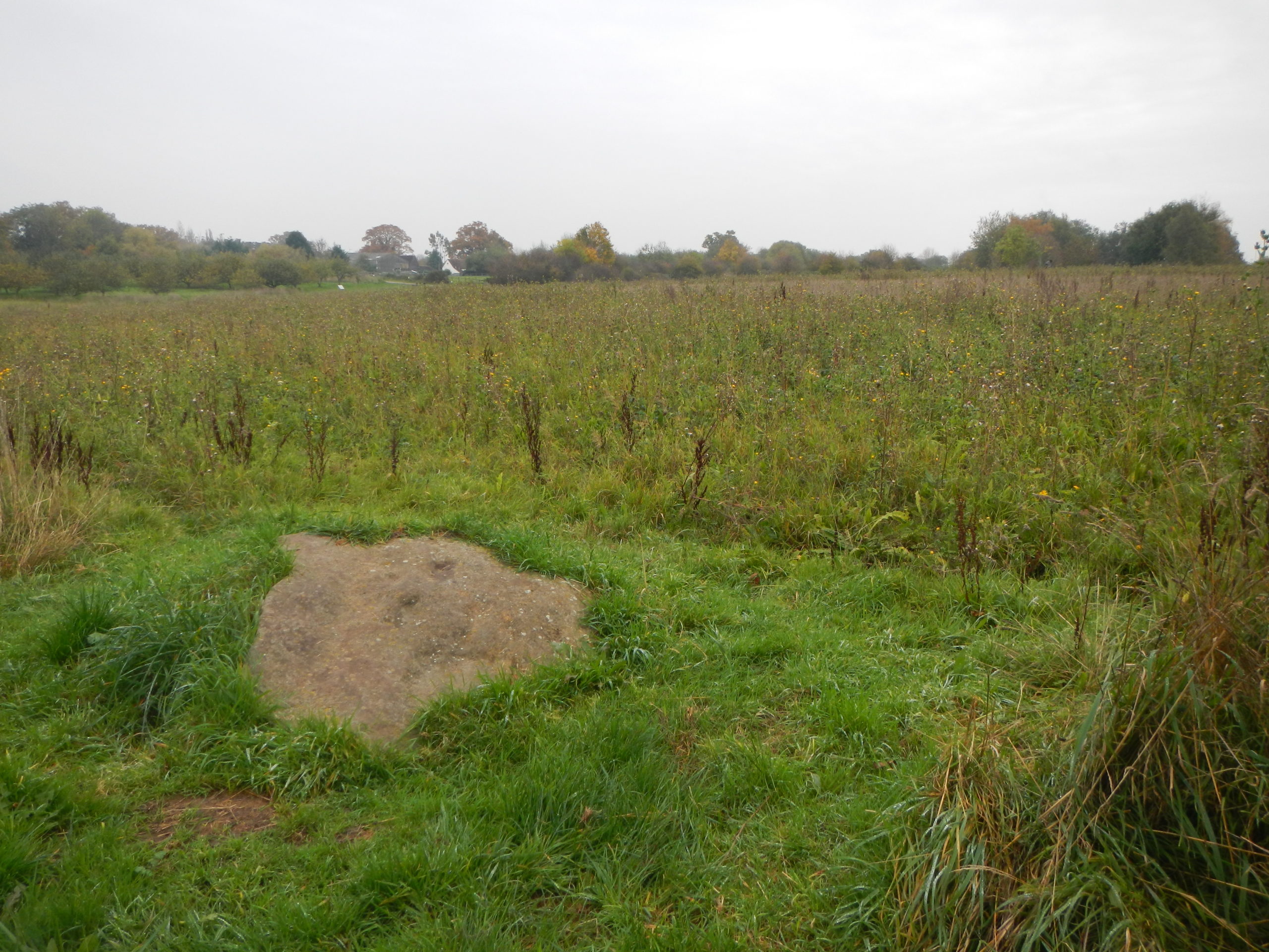 Cut Countryside Corridor - Thames Basin Heaths