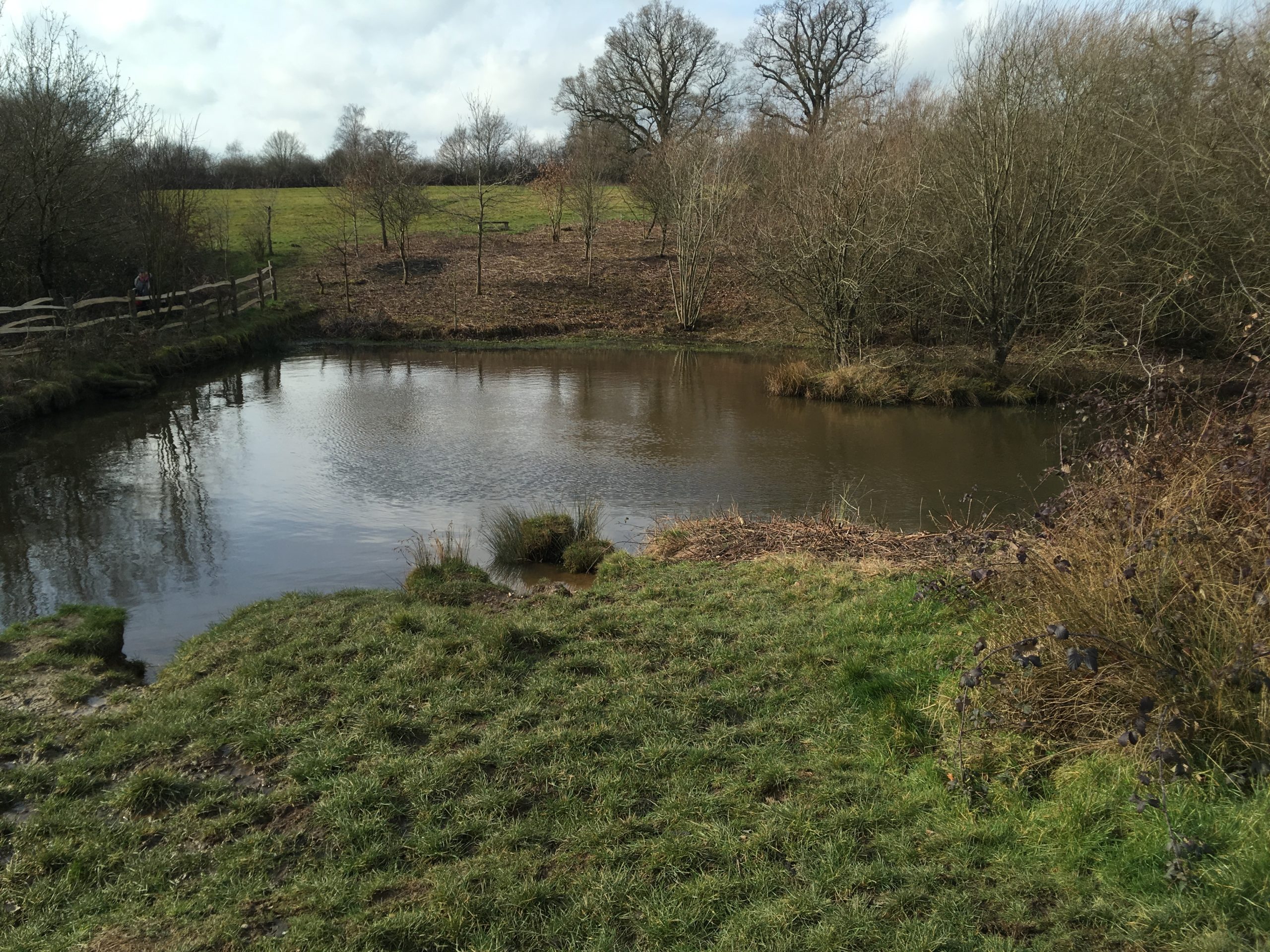 Farnham Park - Thames Basin Heaths