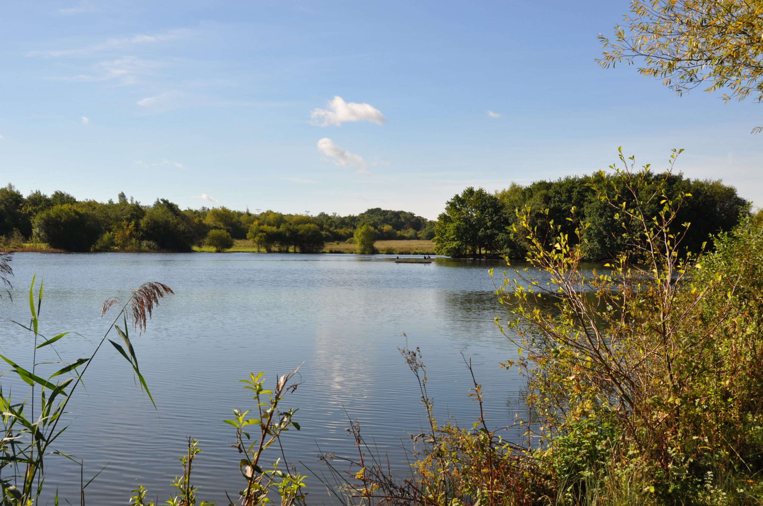 Riverside Nature Reserve - Thames Basin Heaths