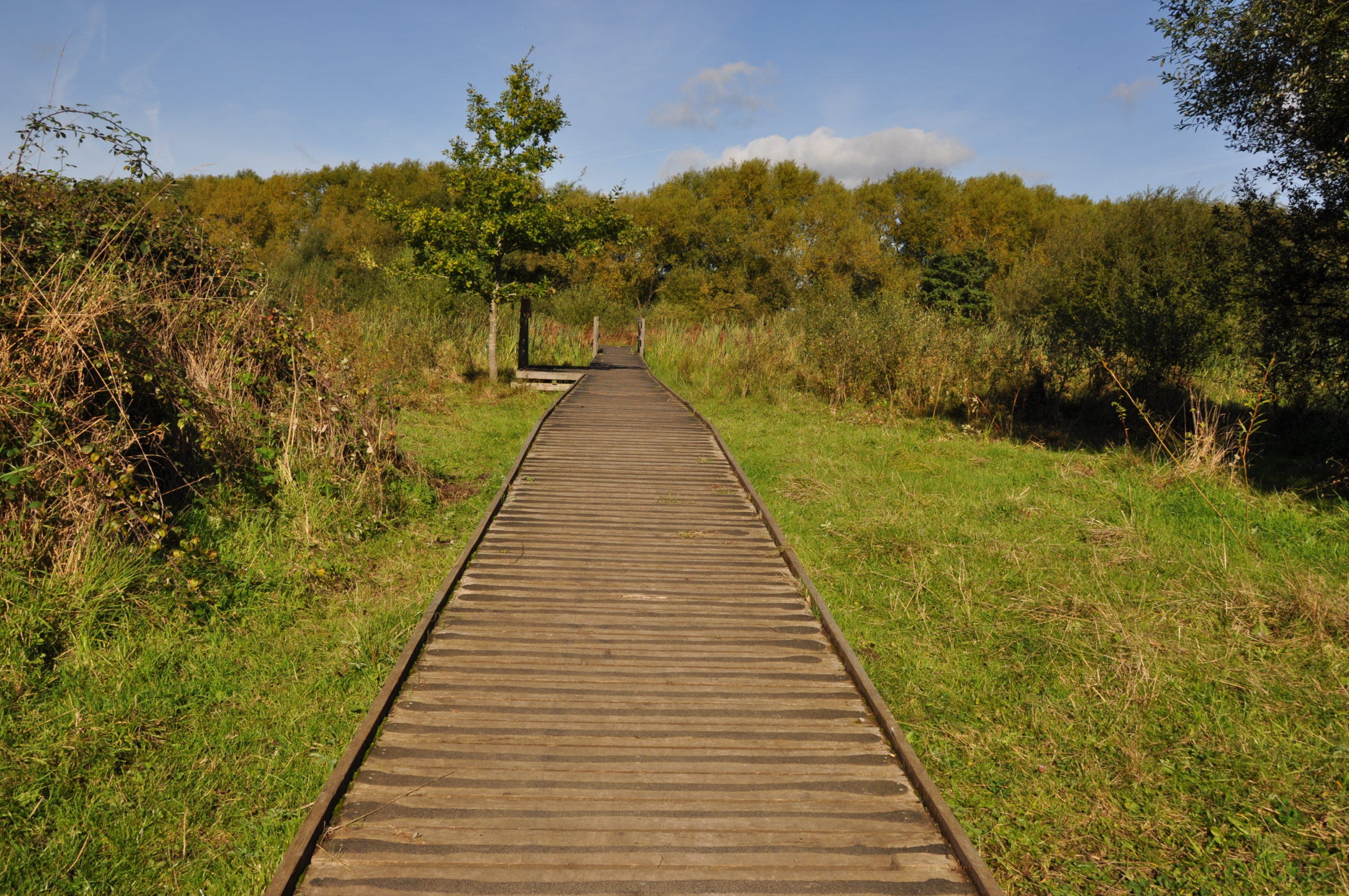 Riverside Nature Reserve - Thames Basin Heaths