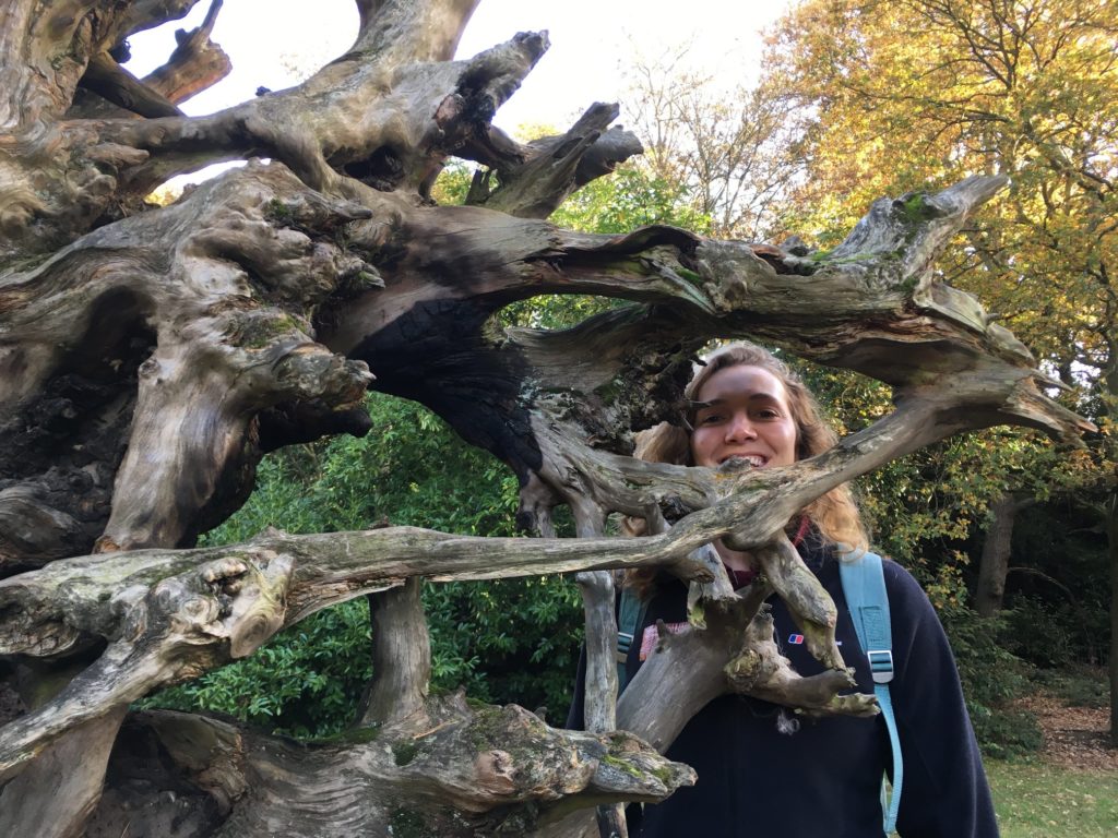 St. Ann’s Hill - Thames Basin Heaths