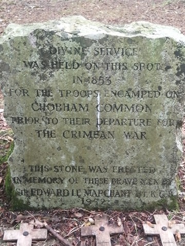 Chobham Place Woods - Thames Basin Heaths