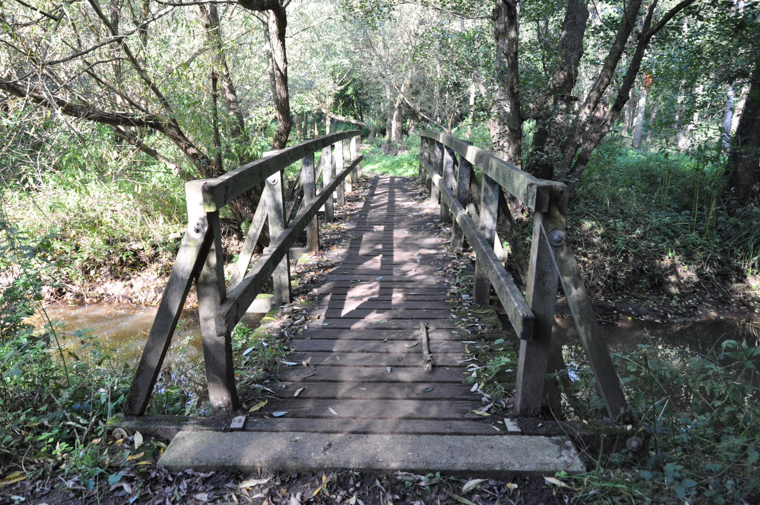 White Rose Lane Nature Reserve - Thames Basin Heaths