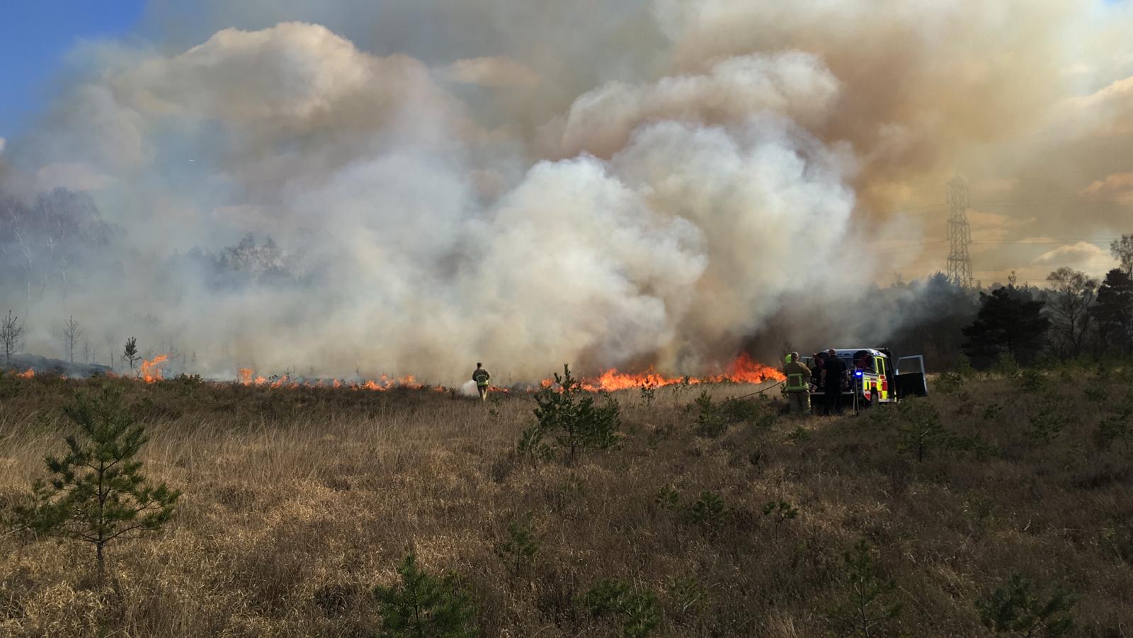 Reporting and preventing fires! - Thames Basin Heaths