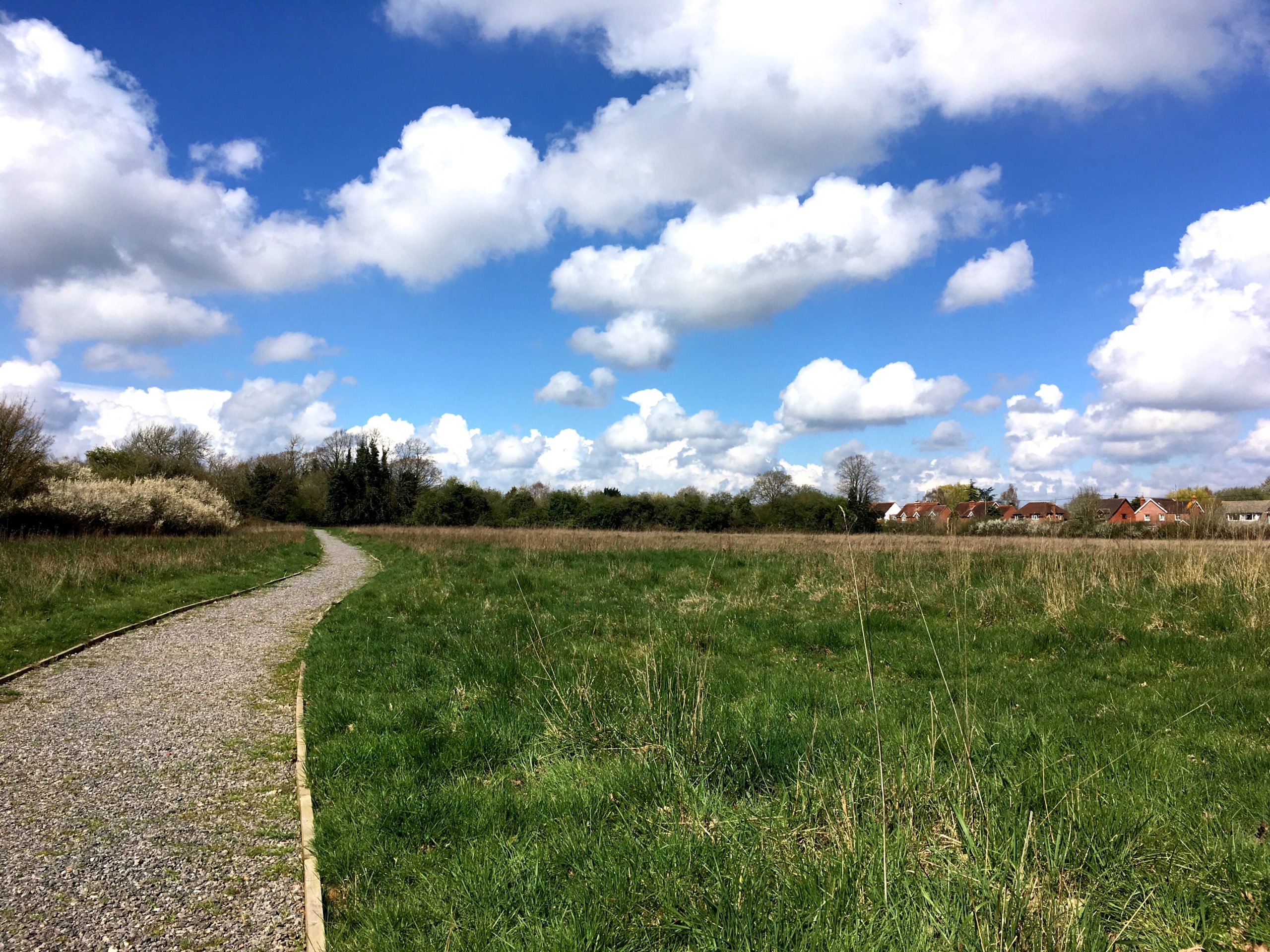 Five Acre Field - Thames Basin Heaths