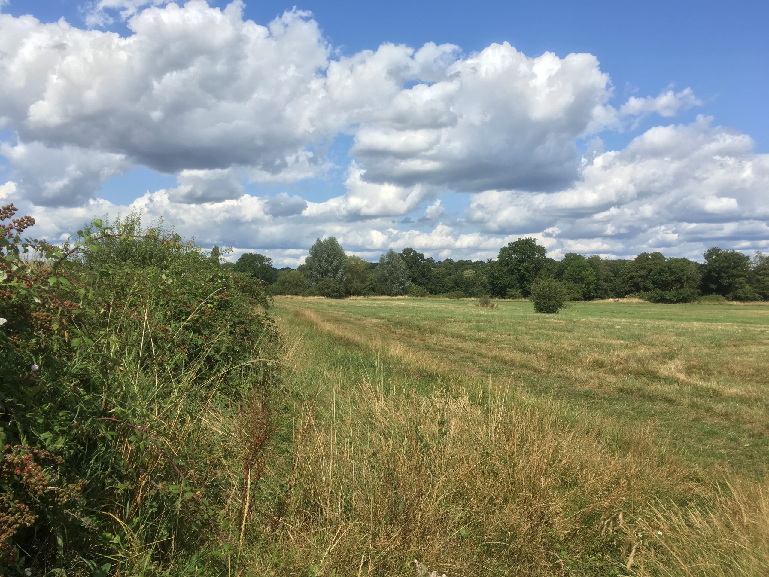 Whitewater Meadows - Thames Basin Heaths