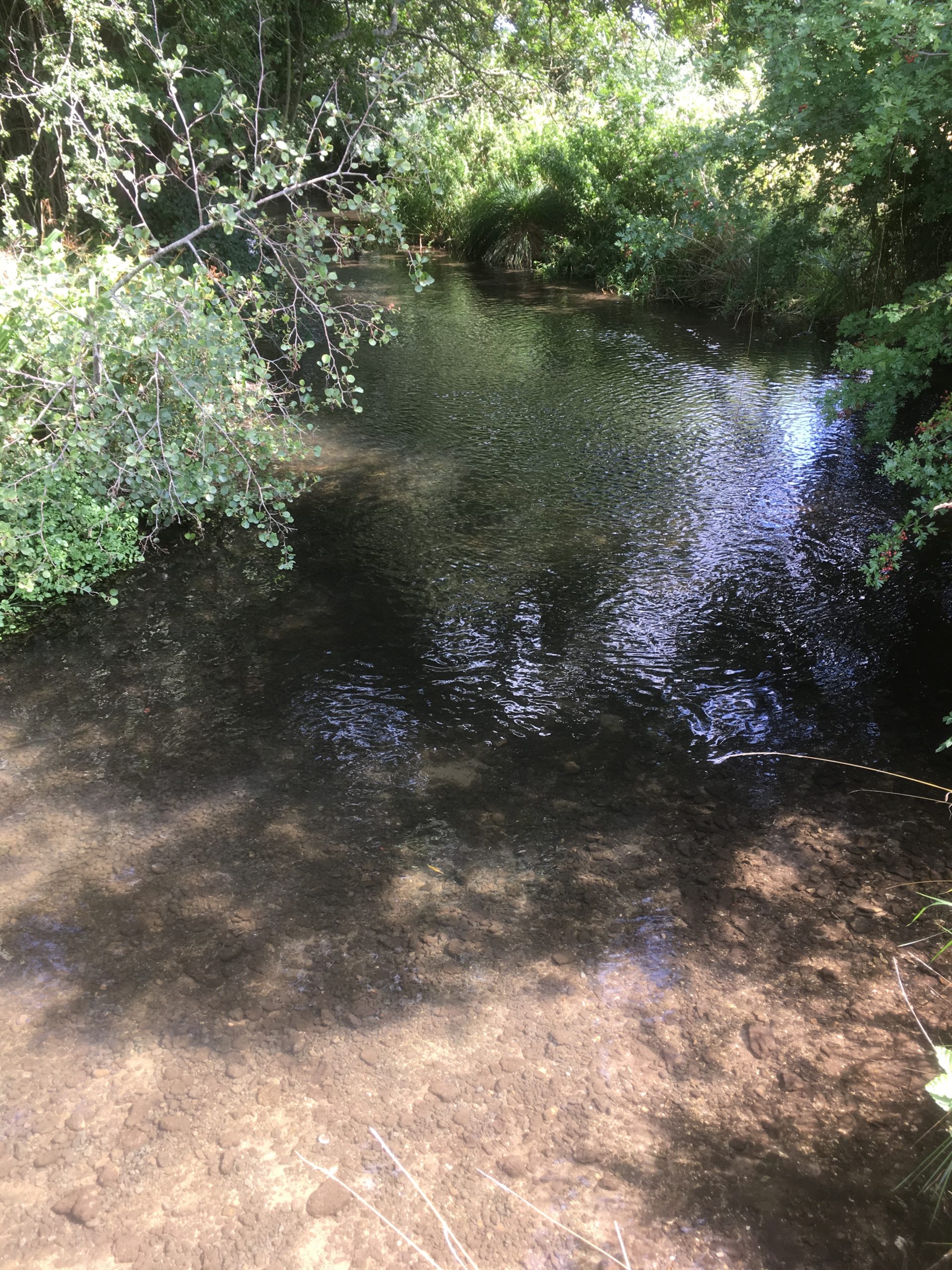 Whitewater Meadows - Thames Basin Heaths
