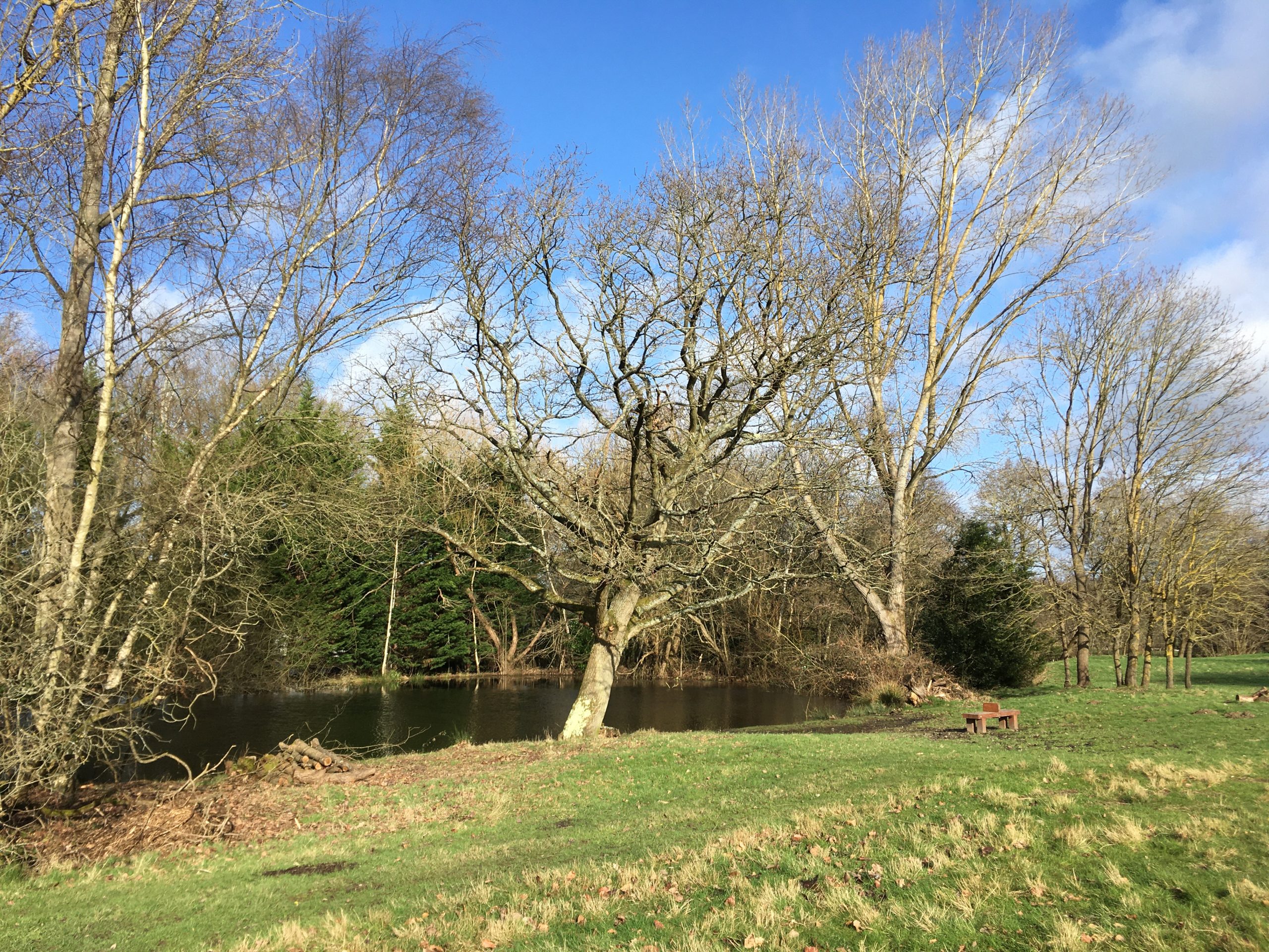 Windlemere - Thames Basin Heaths