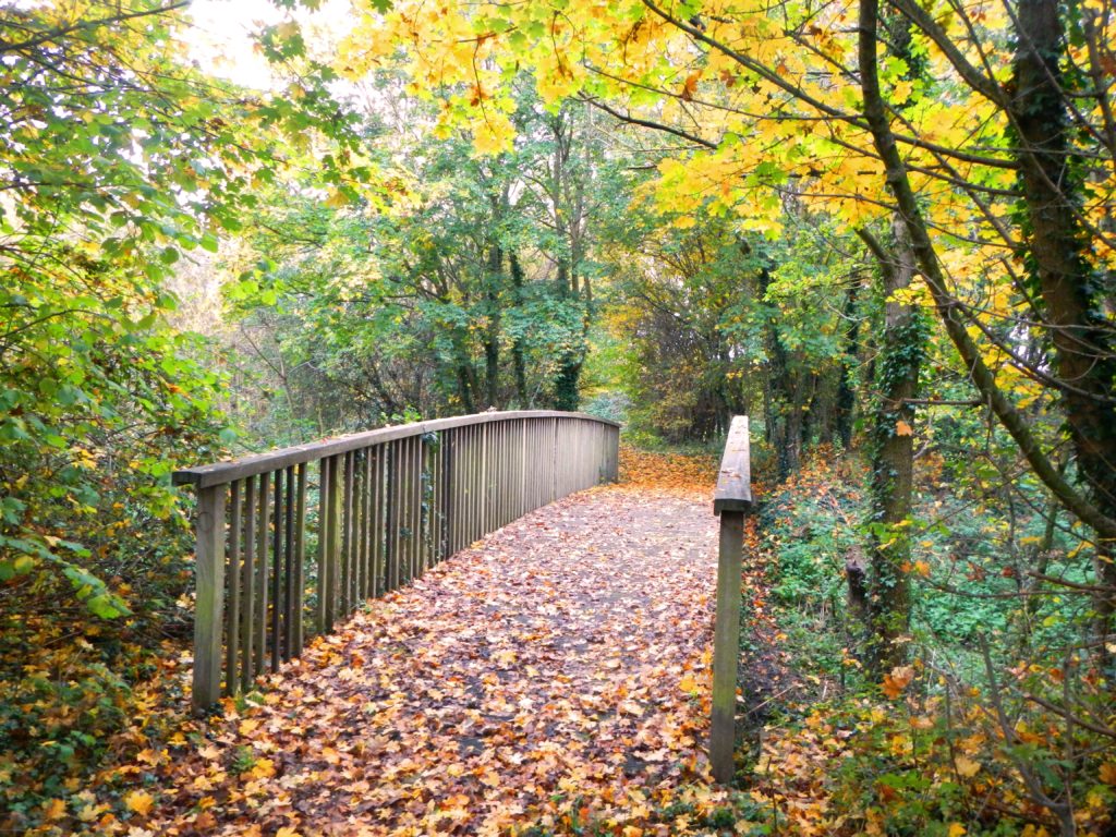 Cut Countryside Corridor - Thames Basin Heaths