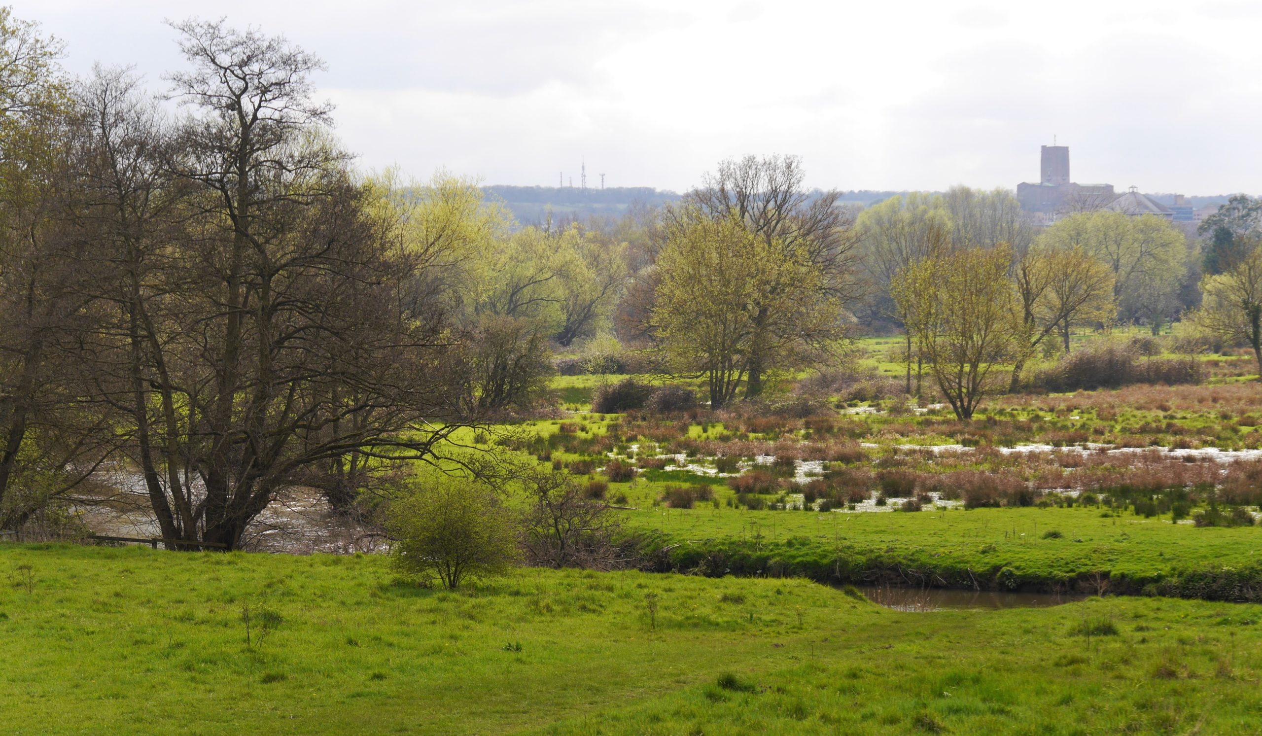 Riverside Nature Reserve - Thames Basin Heaths