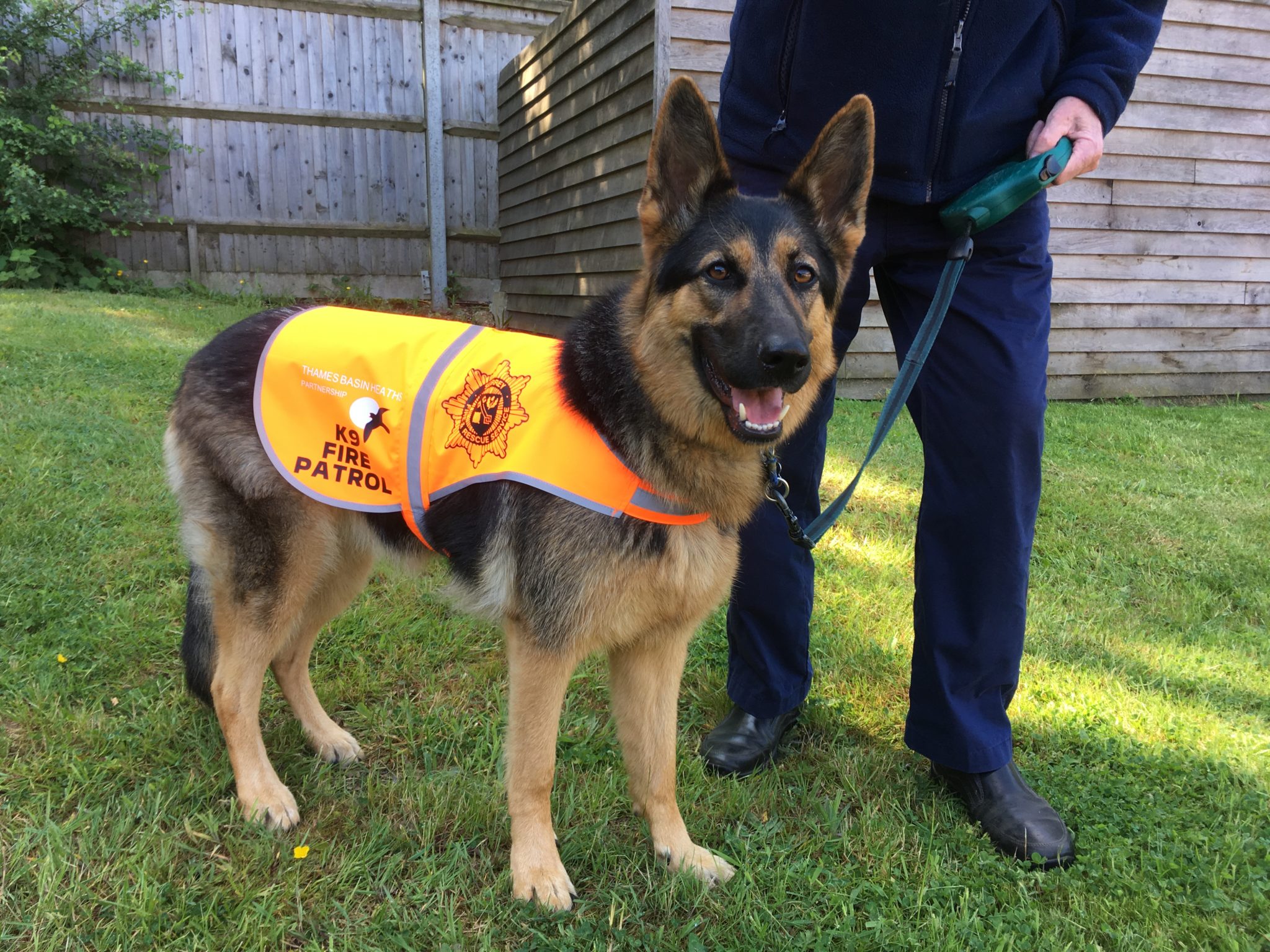 K9 fire patrol - Thames Basin Heaths