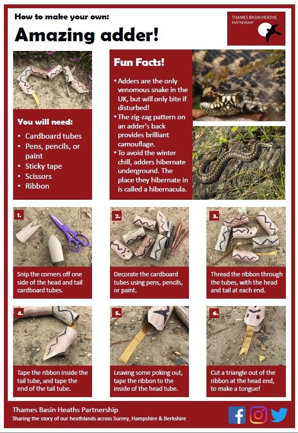 #Heathland At Home activities - Thames Basin Heaths