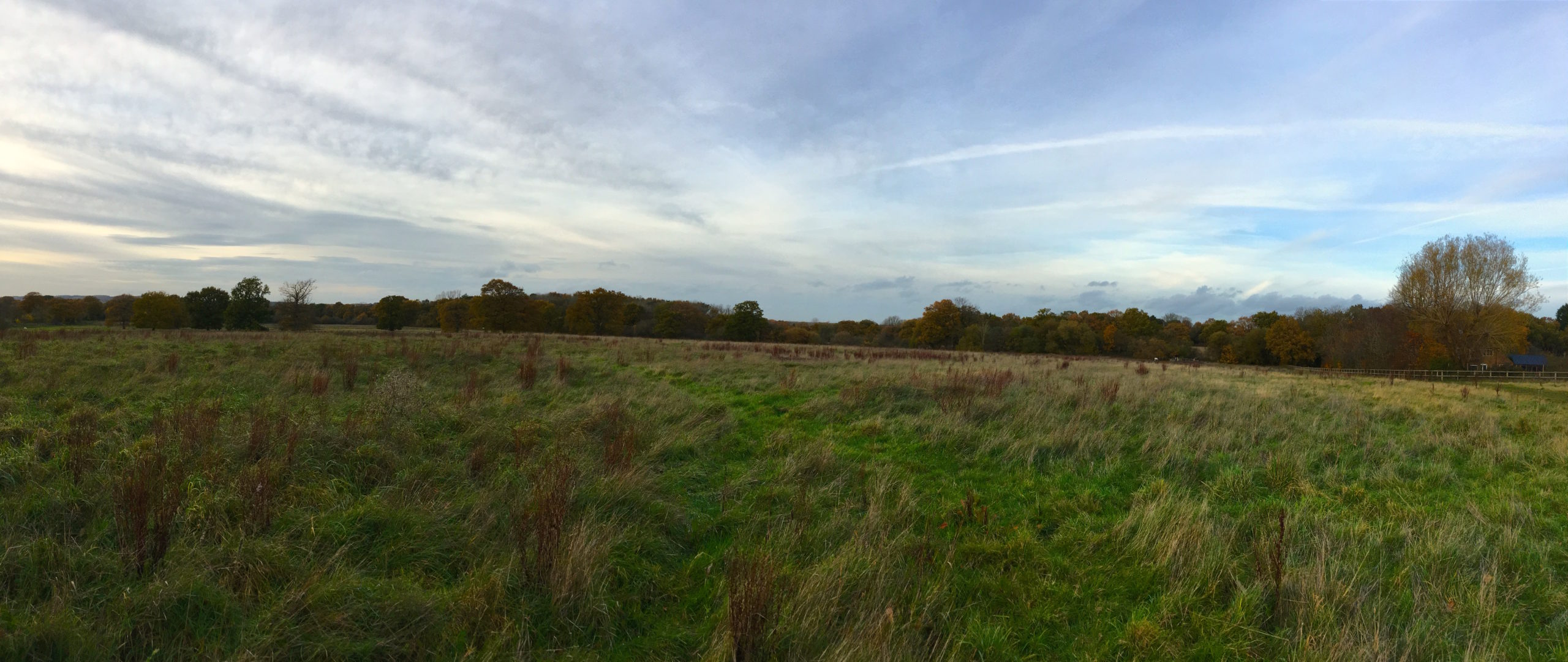 Ash Green Meadows - Thames Basin Heaths
