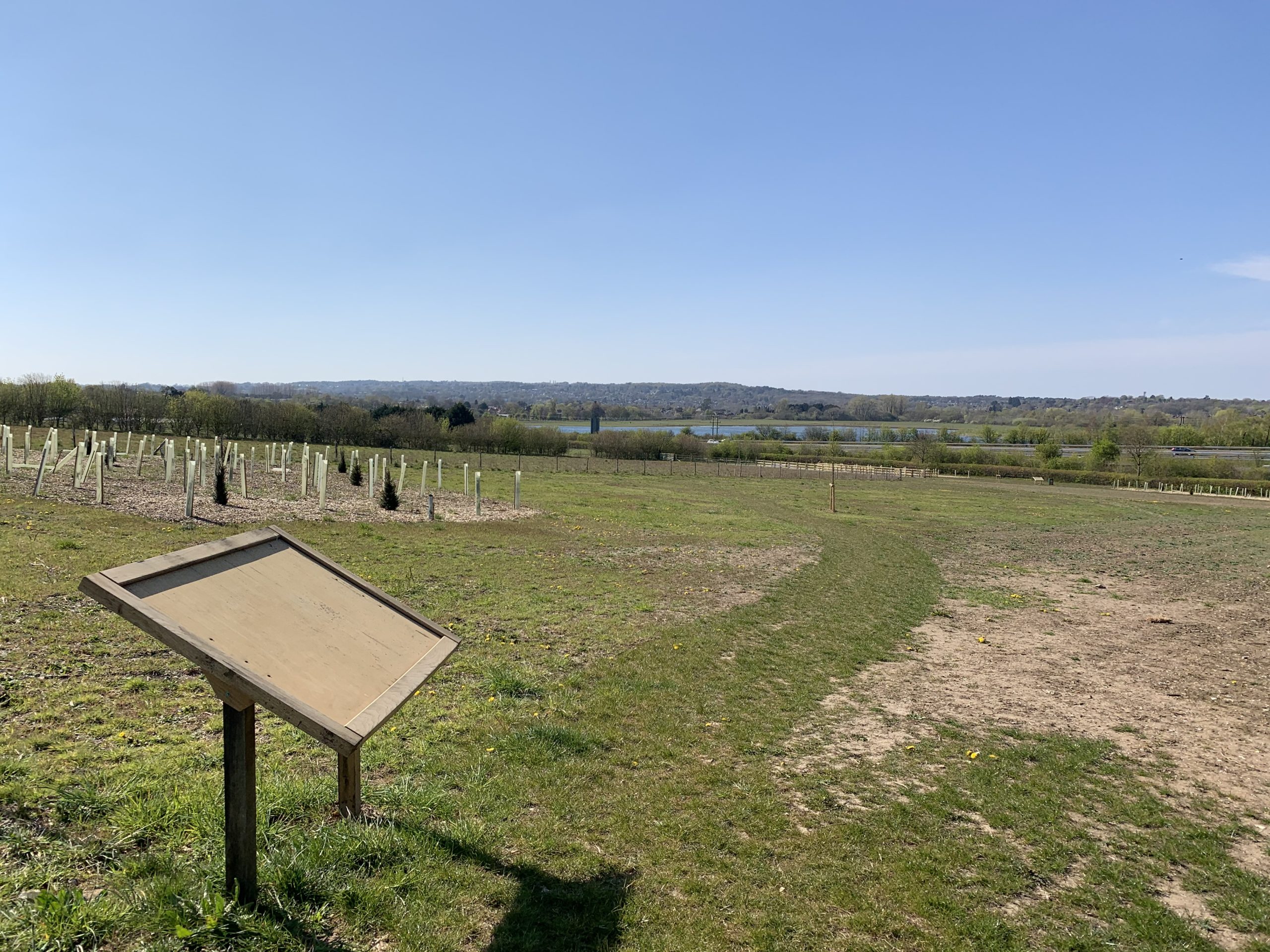 Runfold Ridge - Thames Basin Heaths