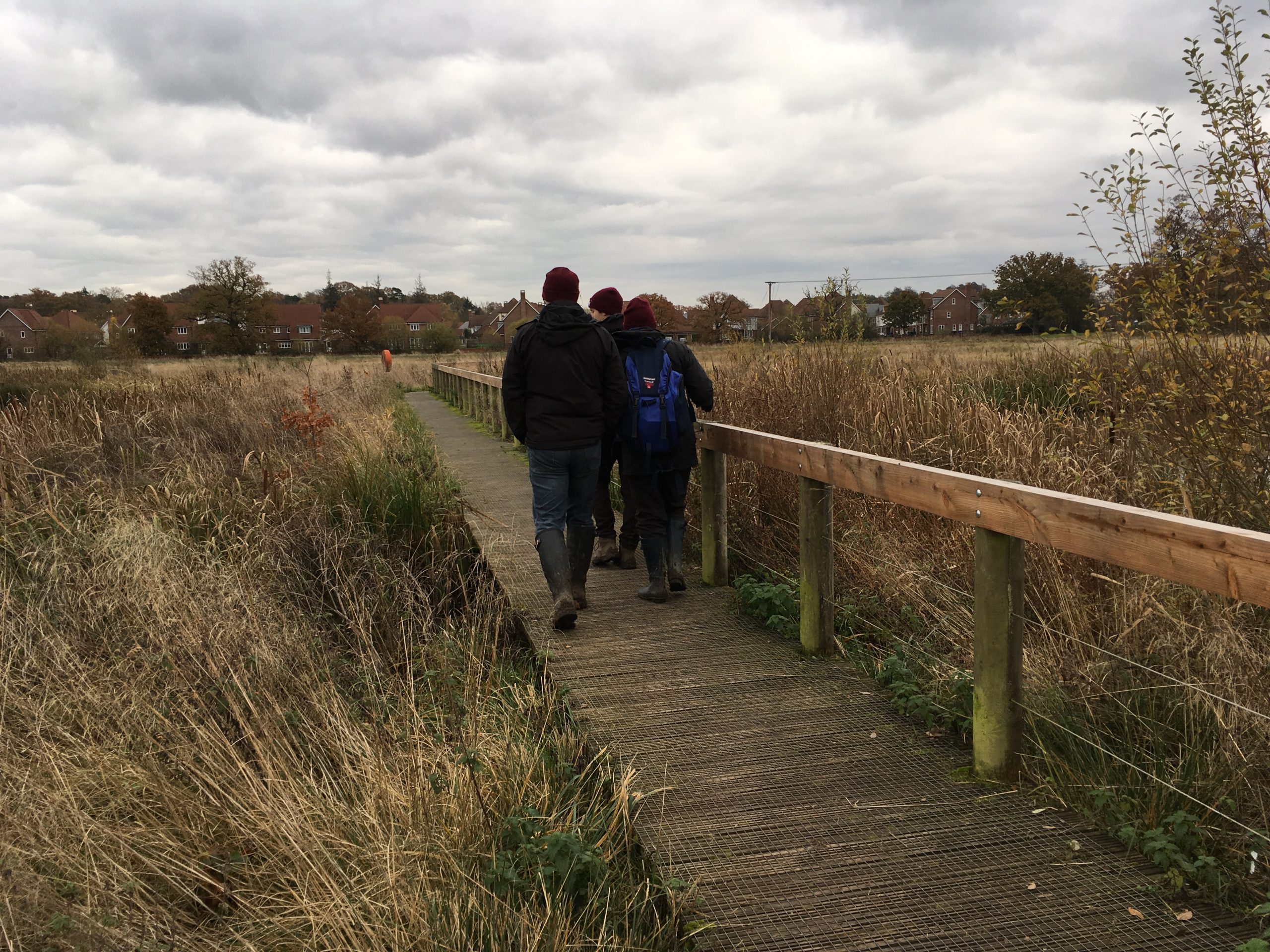 Edenbrook Country Park - Thames Basin Heaths