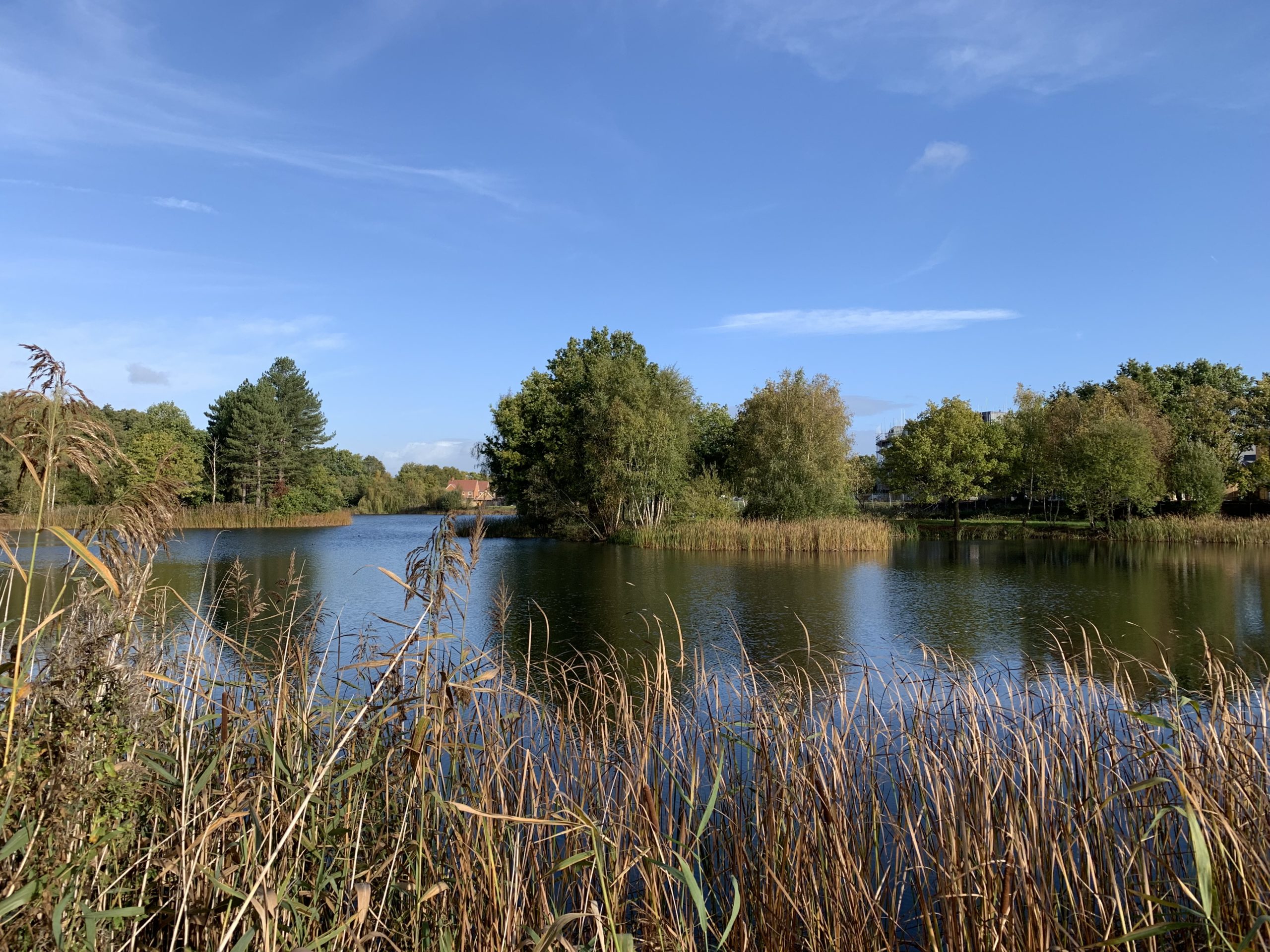 Water's Edge - Thames Basin Heaths