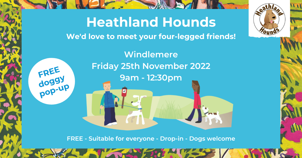 Heathland Hounds: Windlemere - Thames Basin Heaths