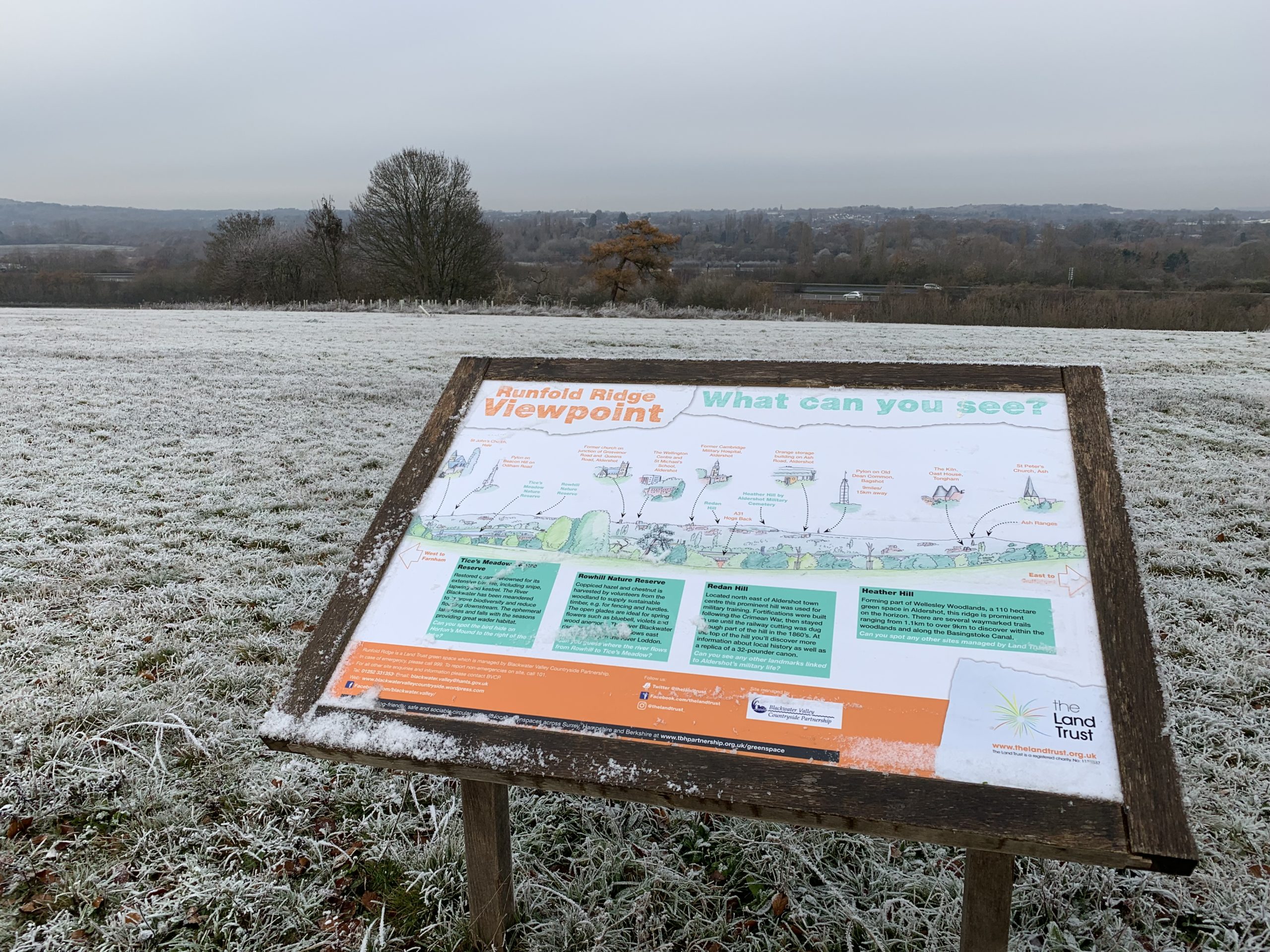 Runfold Ridge - Thames Basin Heaths