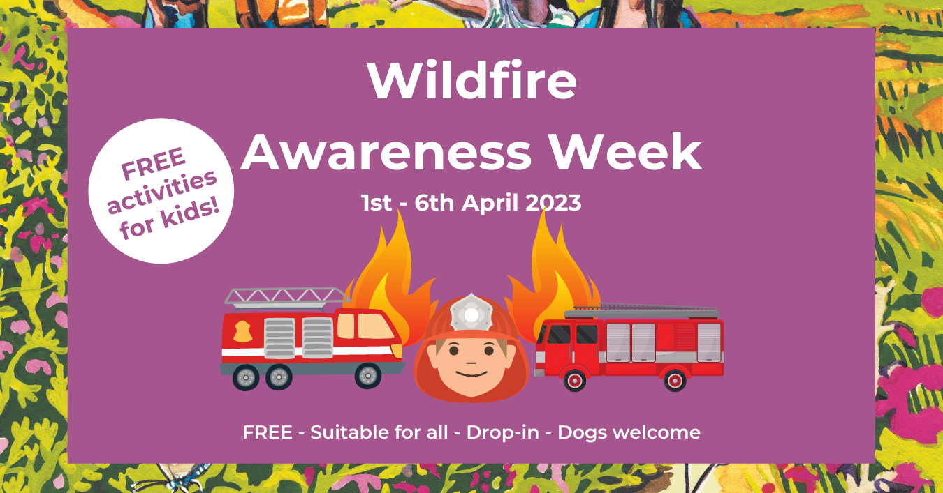 Wildfire Awareness Week - Thames Basin Heaths