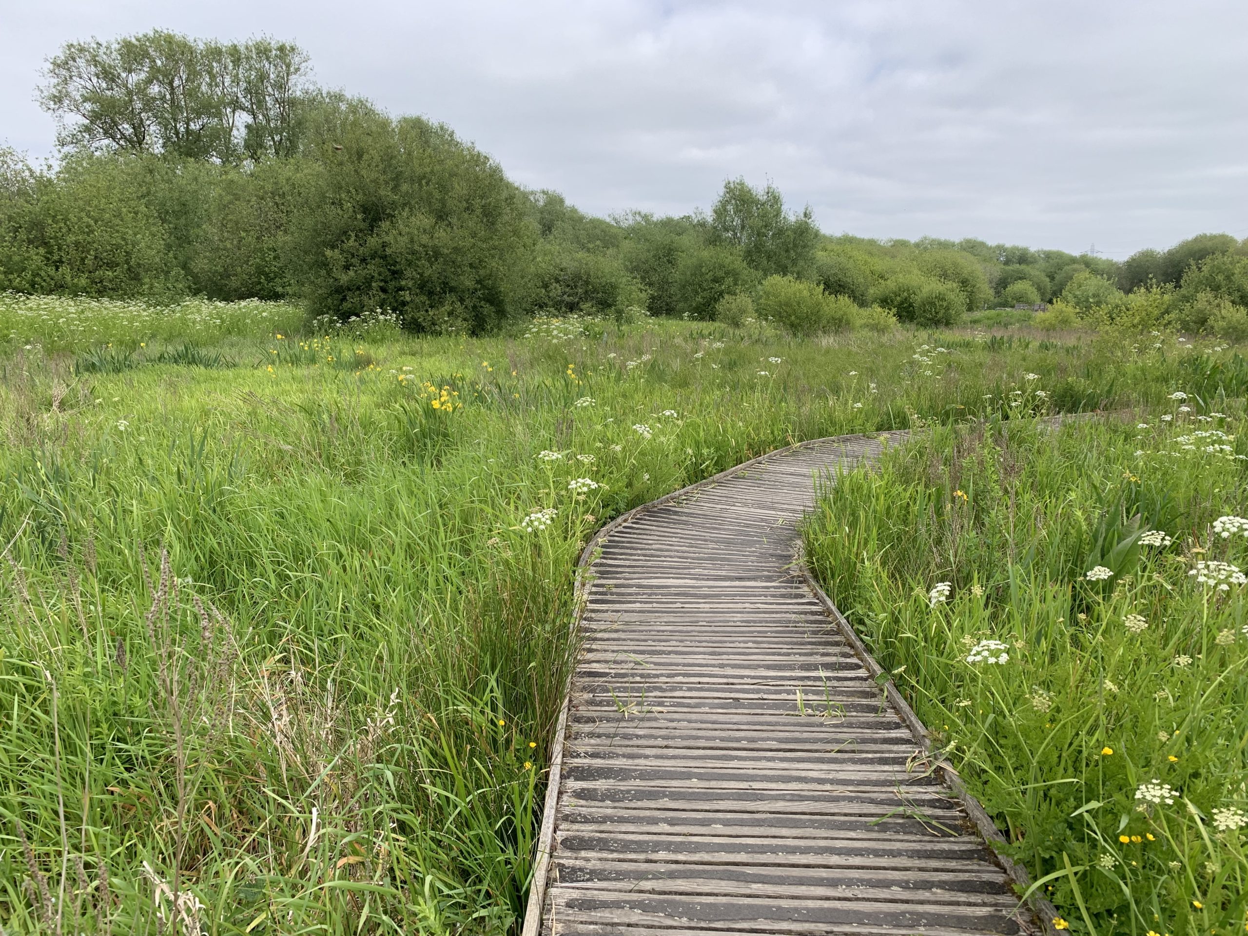 Riverside Nature Reserve - Thames Basin Heaths